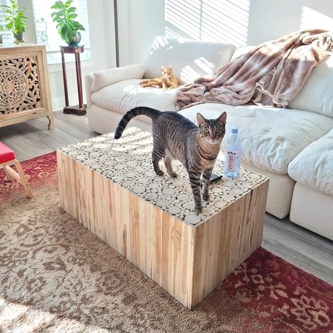 30 Wayfair Products You’ll Want At Home This Summer