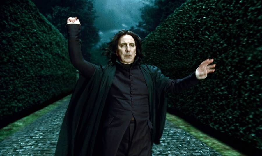 severus snape screen time