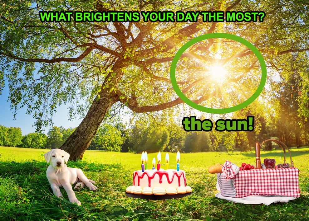 Idiot Test Visual Puzzle Quiz