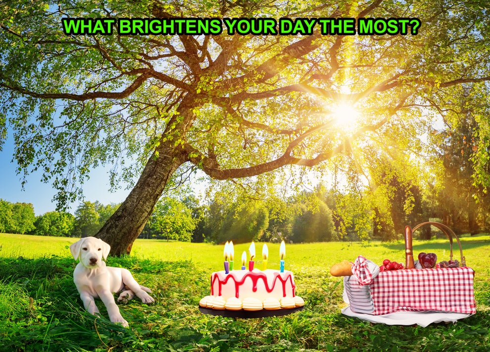 Idiot Test Visual Puzzle Quiz