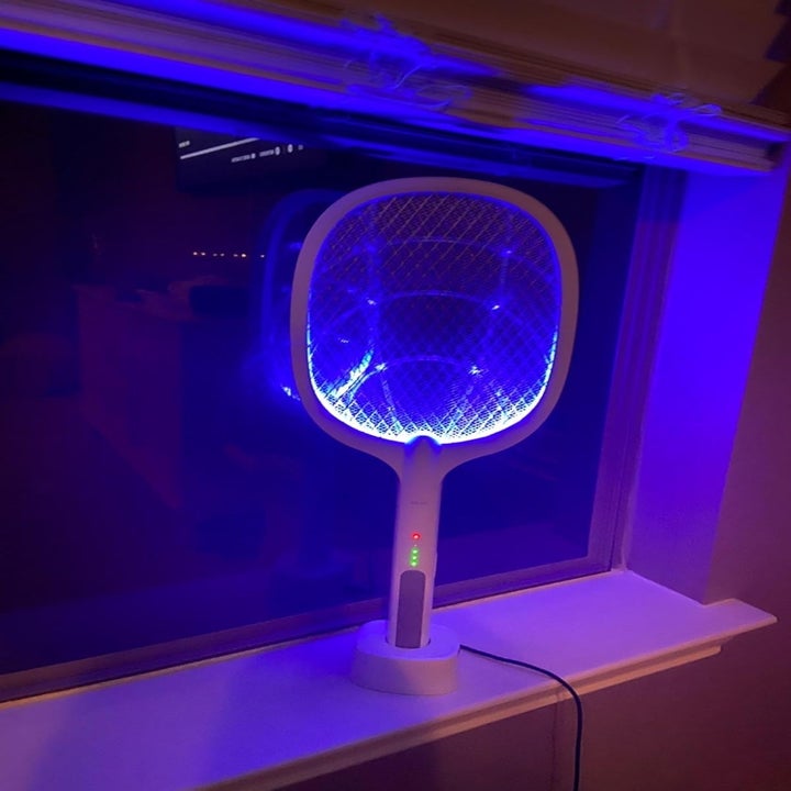 This Electronic Bug Zapper Will Make Your Summer A Thousand Times Better