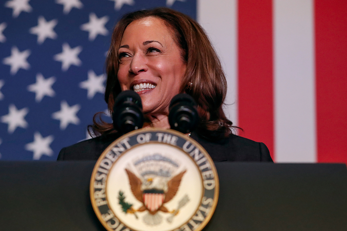 Kamala Harris Channels Charli XCX’s 'Brat' Aesthetic & More Memes for ...