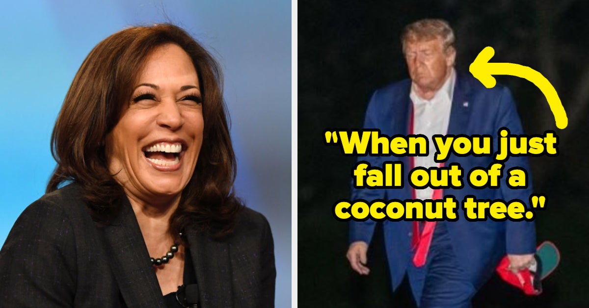 22 Kamala Harris Coconut Tree Memes That Made Me LOL