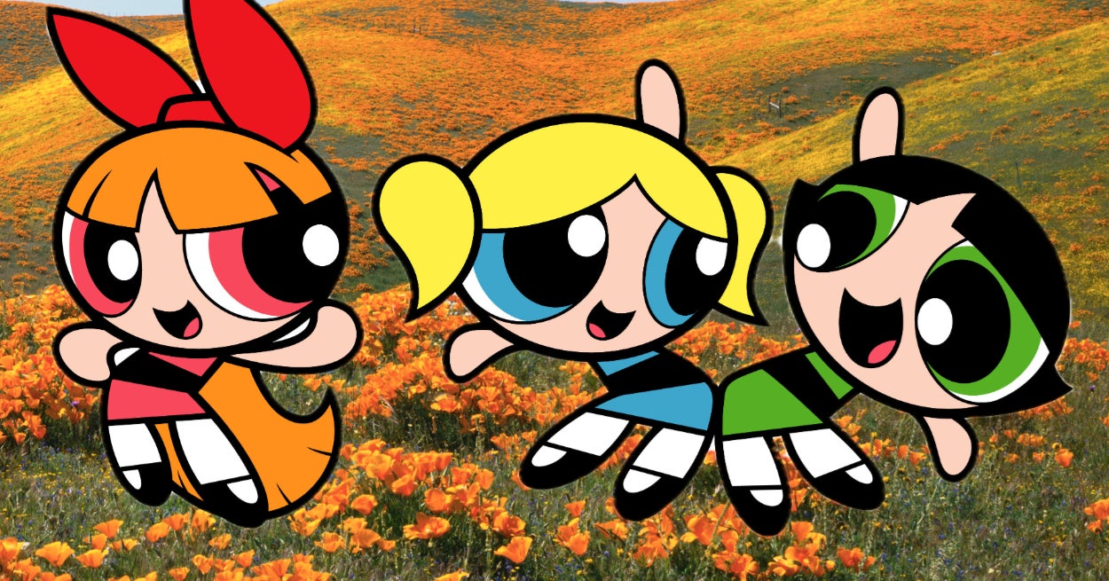Discover Which "Powerpuff Girl" Perfectly Matches Your Personality