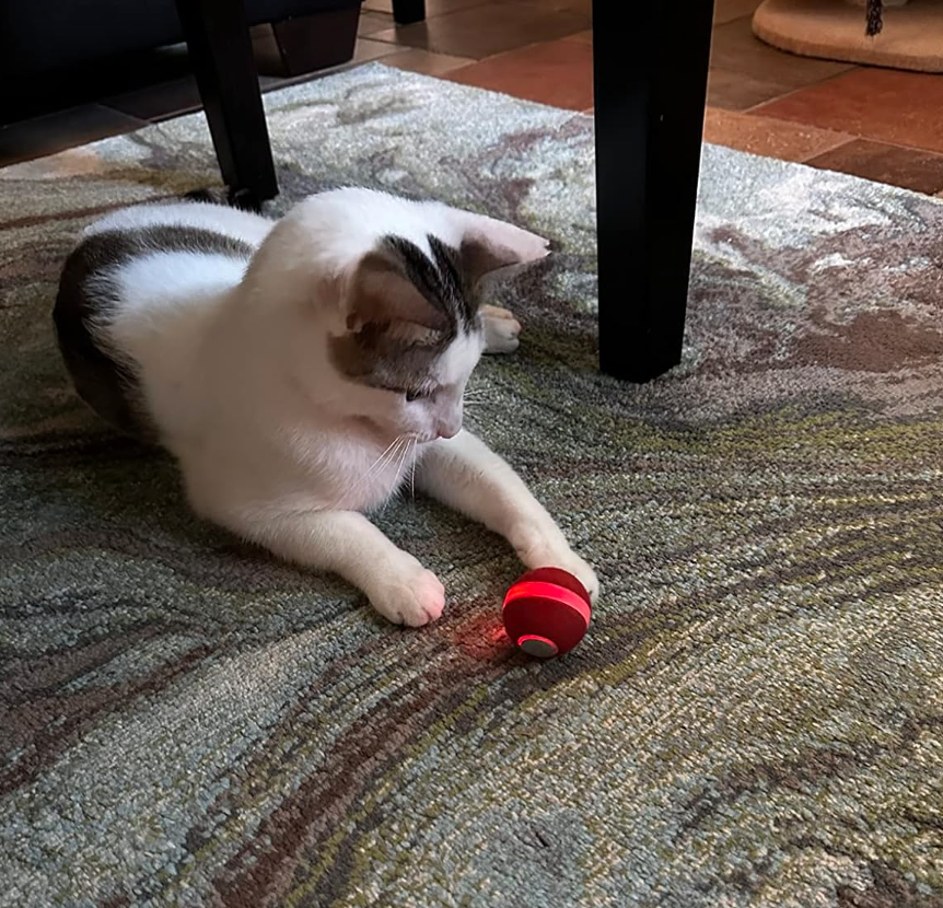 32 Best Cat Toys For Bored Cats In 2025