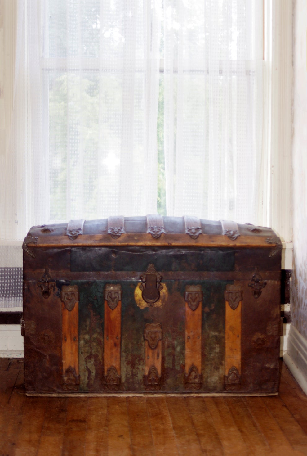 Wild Things Spotted in Homes While House-Searching