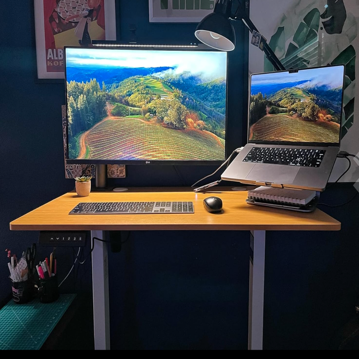 35 Best Budget Standing Desks To Buy In 2026
