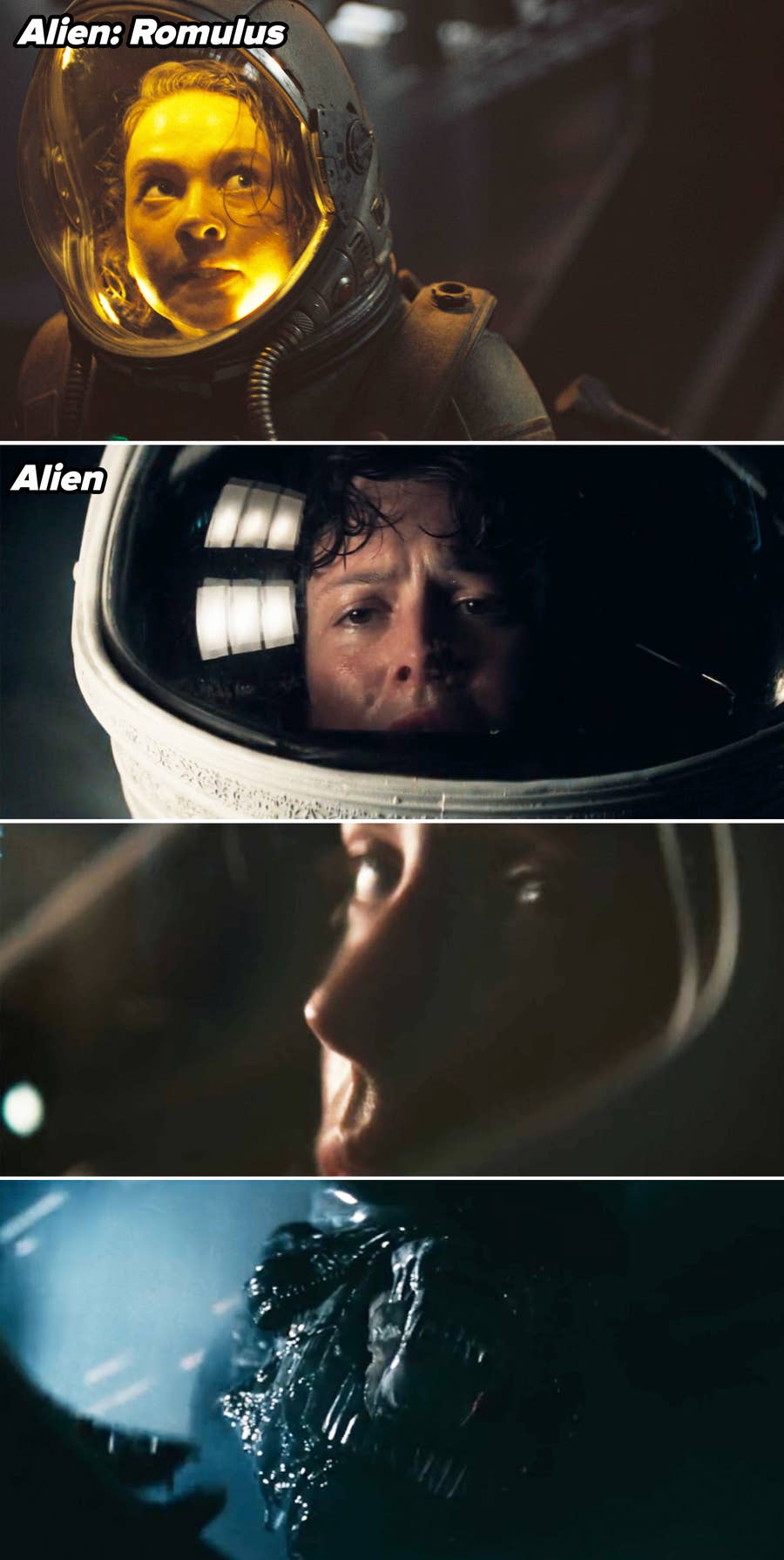 ripley alien romulus