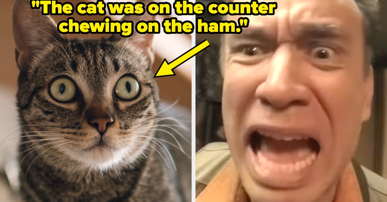 19 House Guests Who Were Scared Right Out The Door