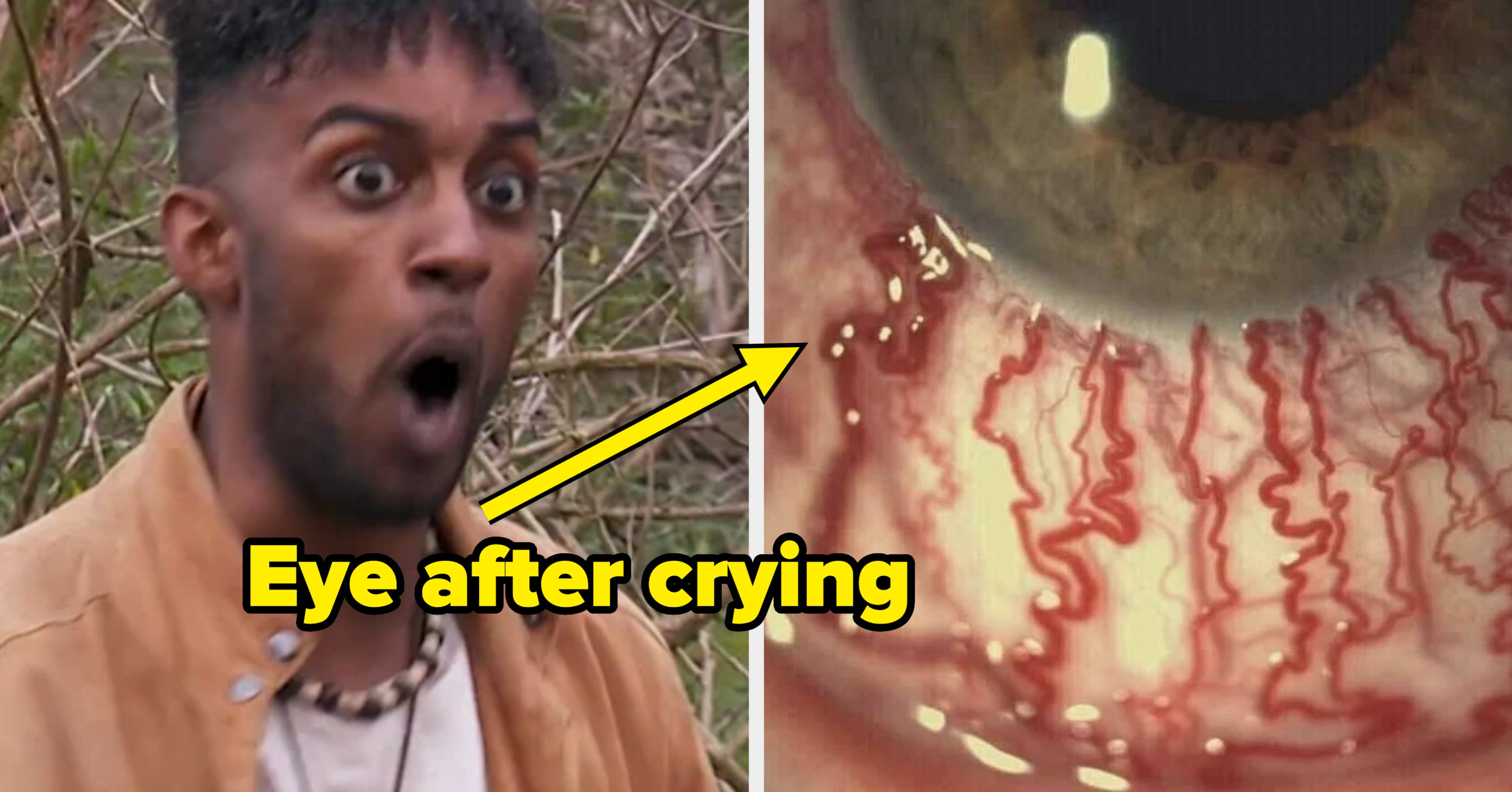 36 Wild Photos Of The Human Eye