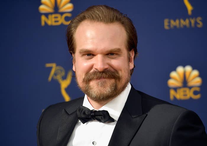 David Harbour On Being Stepfather To Lily Allen's Kids