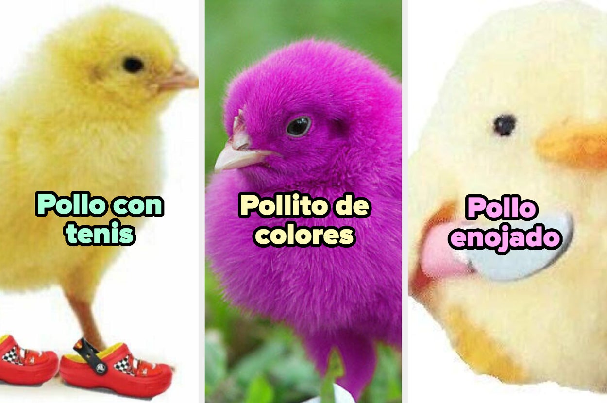 Tests de BuzzFeed
