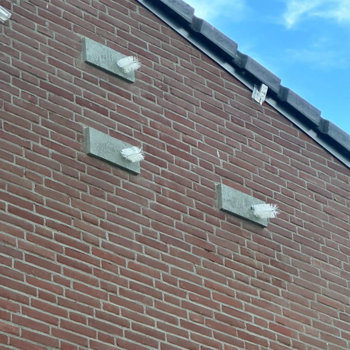 14 Interesting Objects Identified By The Internet