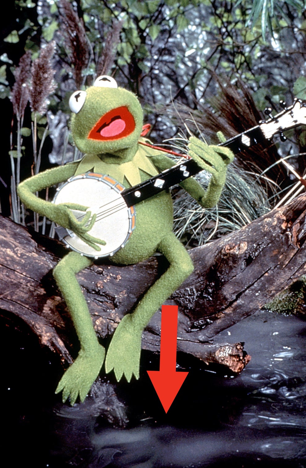 17 Interesting Facts About The Muppets