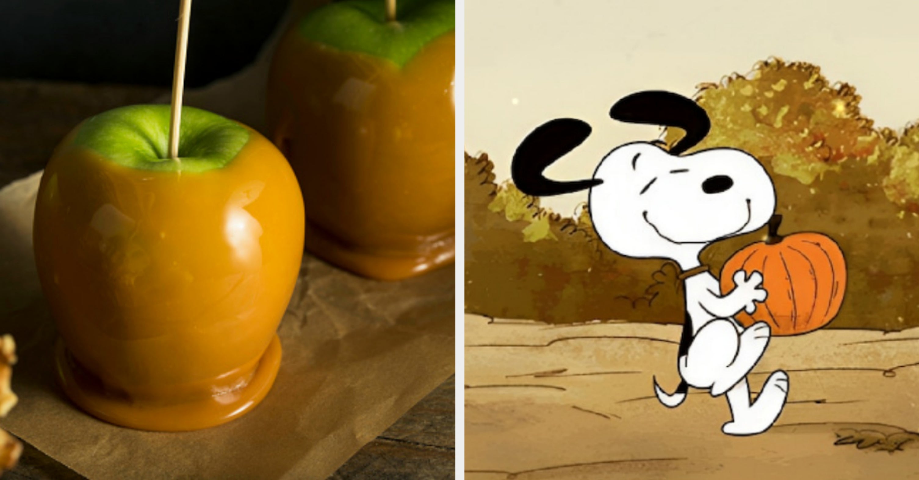 Which Snoopy Am I Fall Foods Quiz