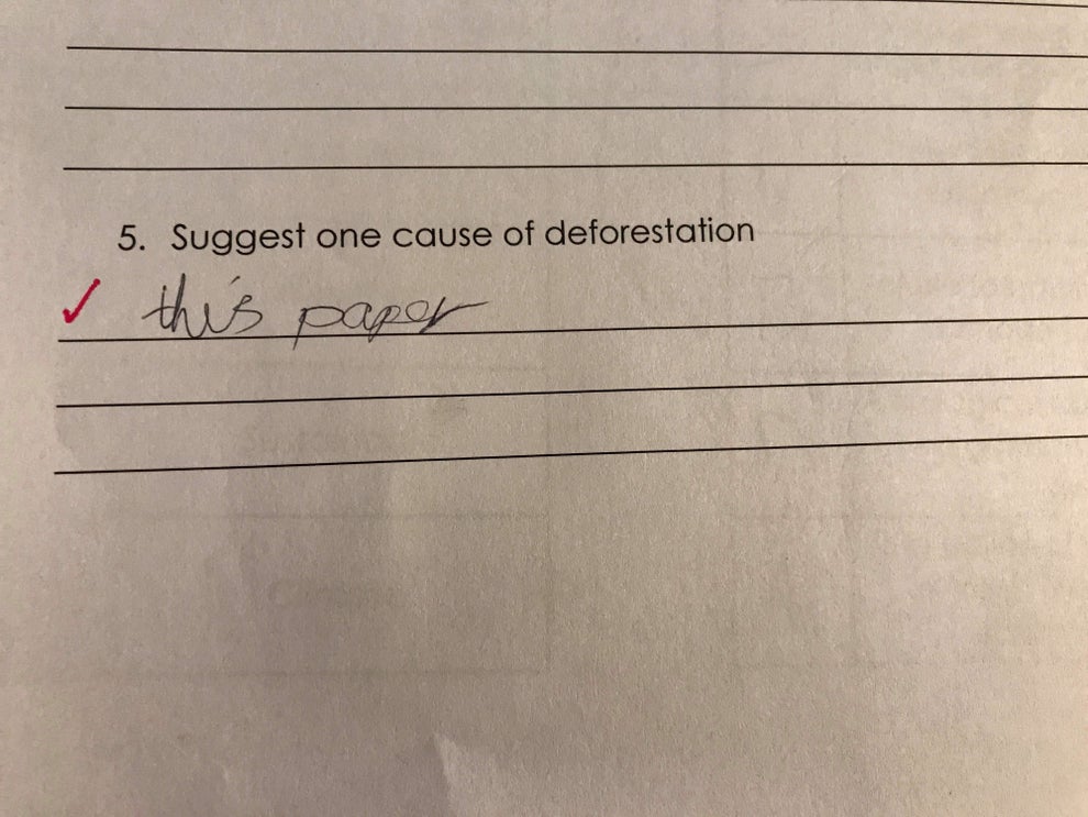 33 Funny Test Answers That Will Make You Laugh Way, Wayyyy Harder Than ...