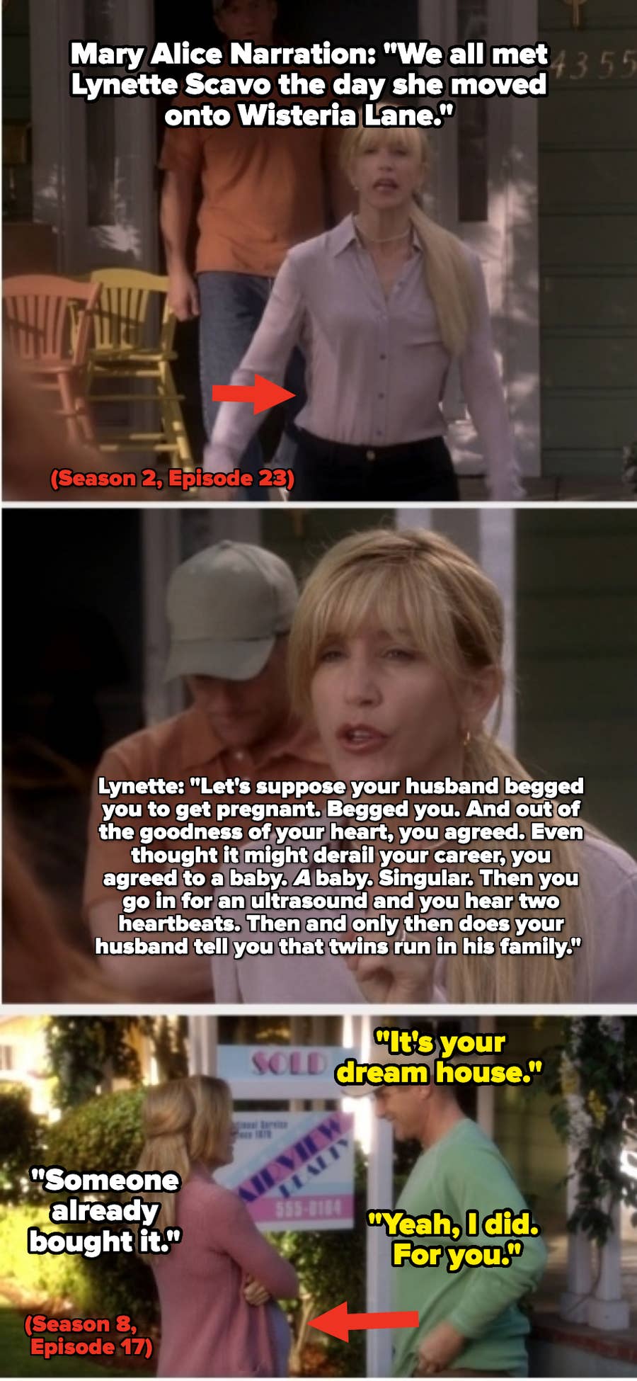 lynette and tom scavo employment