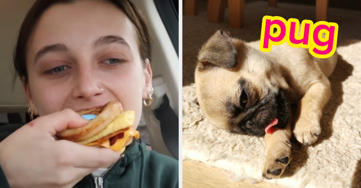 Food Quiz: Make Breakfast Sandwich Get Dog Breed