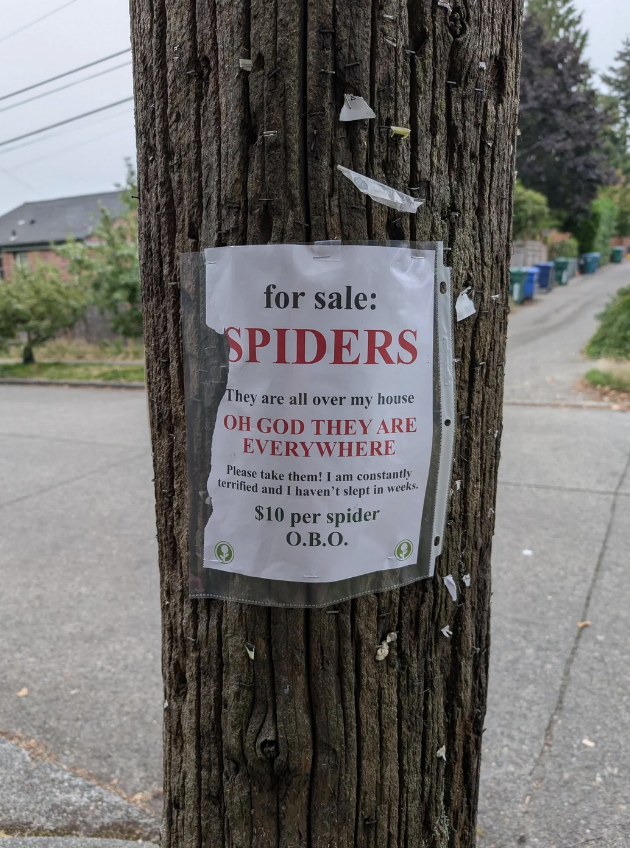 43 Photos That Might Just Make You Laugh