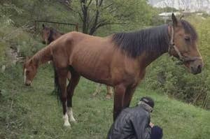 Krista Torres on BuzzFeed