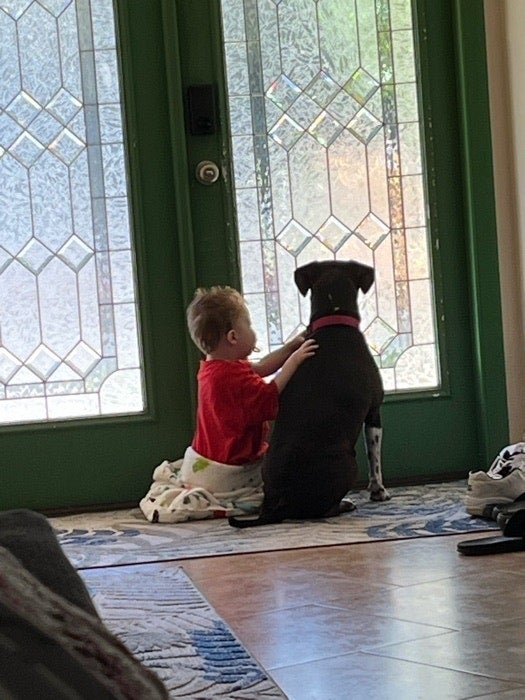 How Kids Changed Parents' Relationship With Their Pets