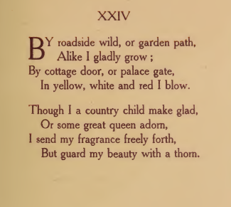 14 Century-Old Riddles For Kids That Adults Can't Solve