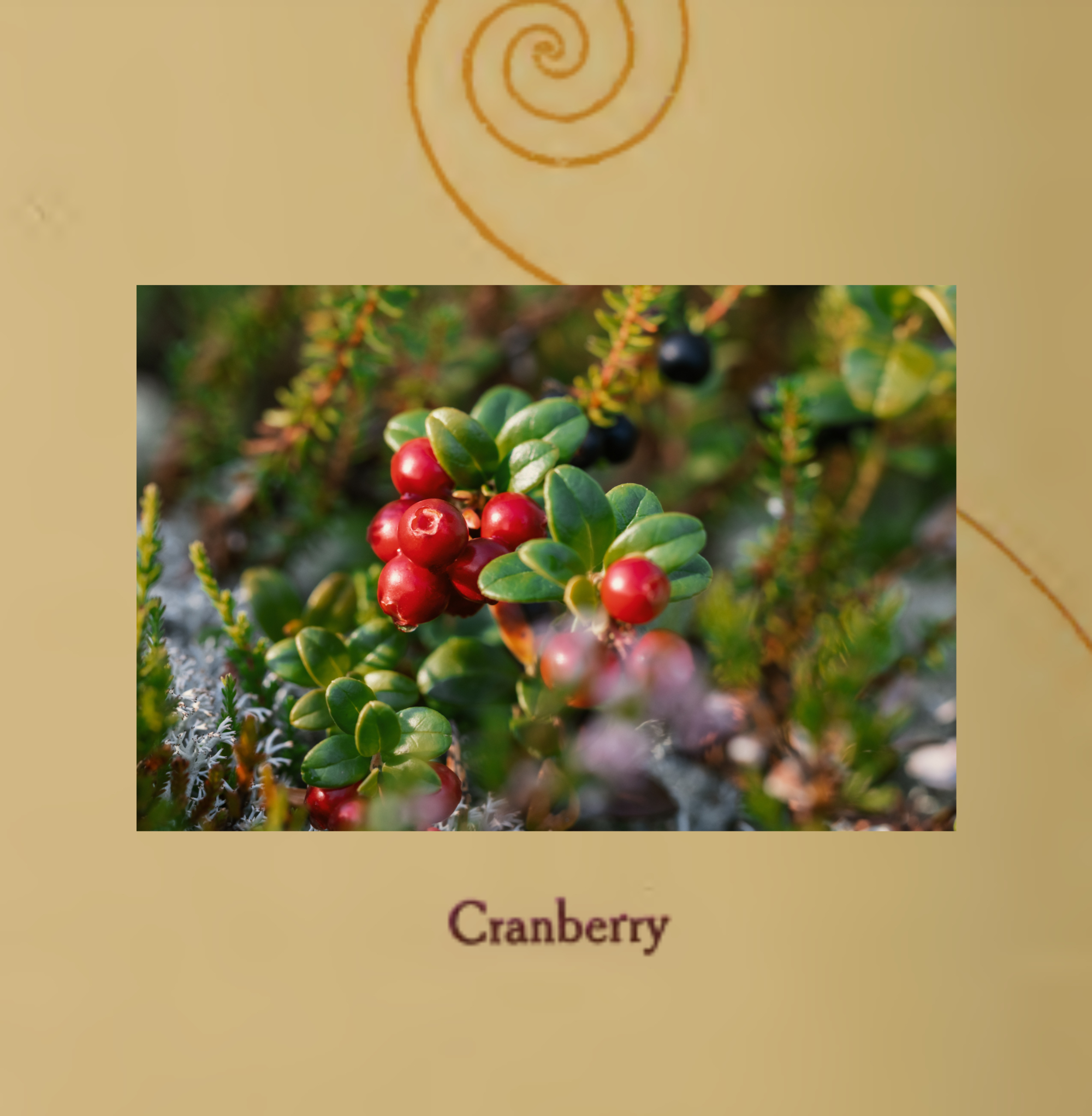 14 Century-Old Riddles For Kids That Adults Can't Solve