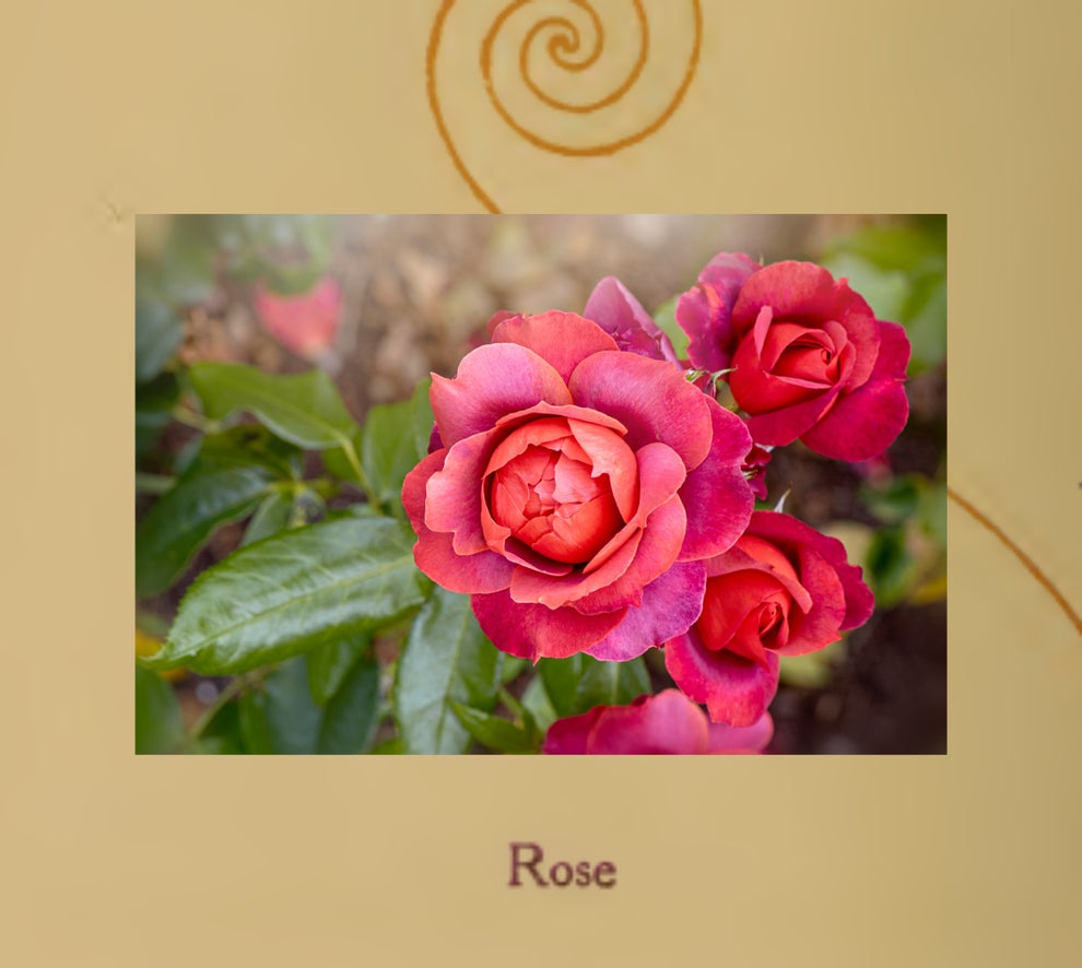 14 Century-Old Riddles For Kids That Adults Can't Solve