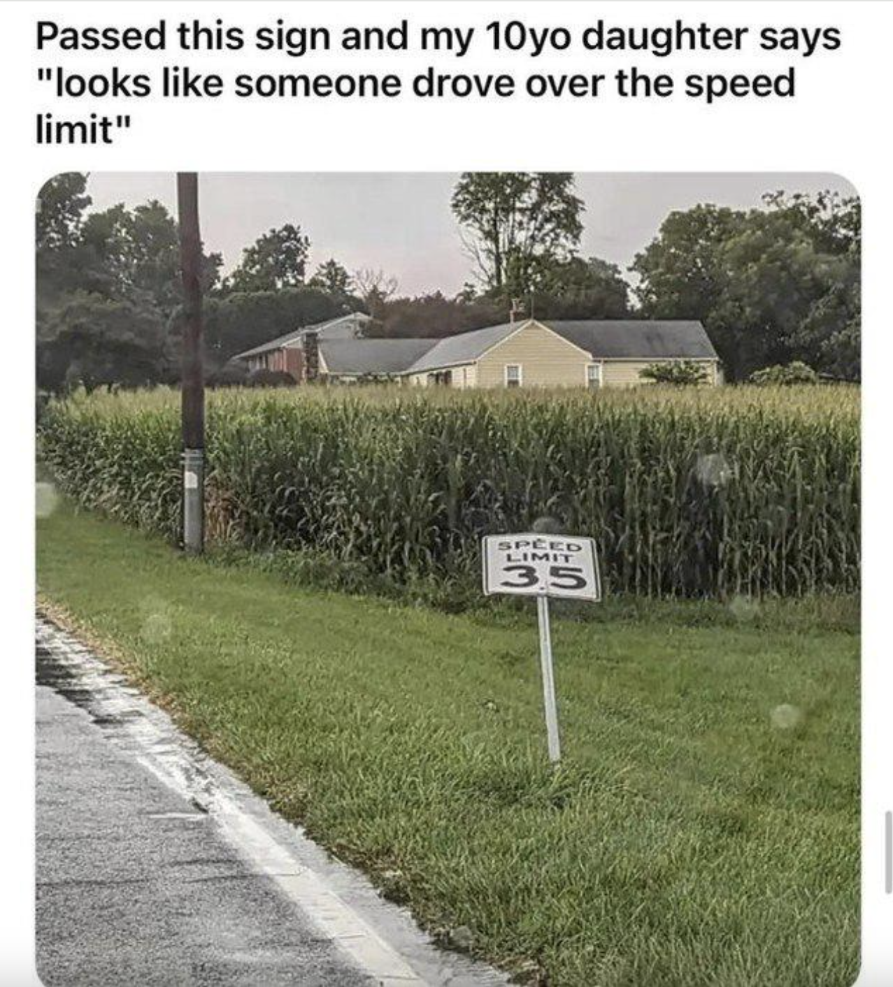 33 Hilariously Cheesy Puns That Are Absolutely Grate