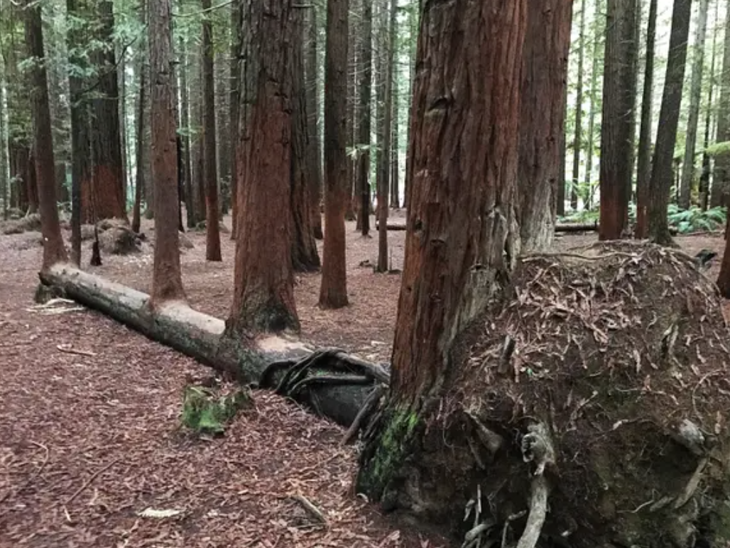 21 Photos Proving Mother Nature's Unpredictable Power
