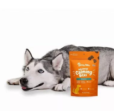 25 Must-Have Target Products For Pet Owners