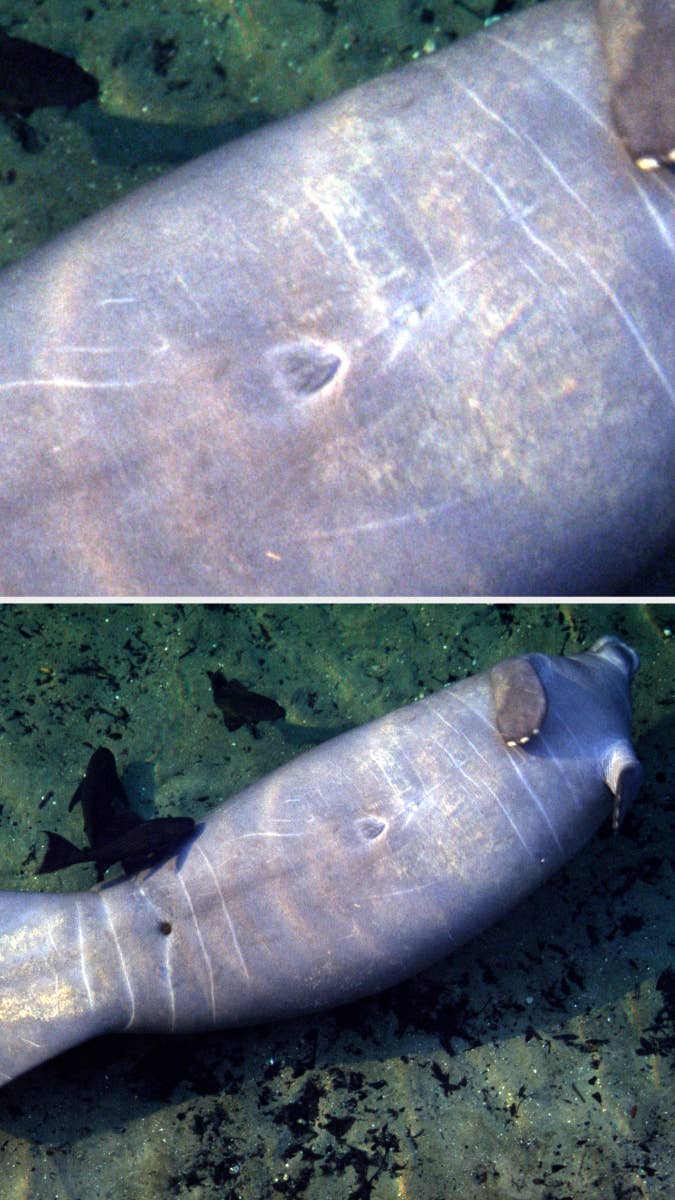 5 Little And Useless Facts That Are Unforgettable