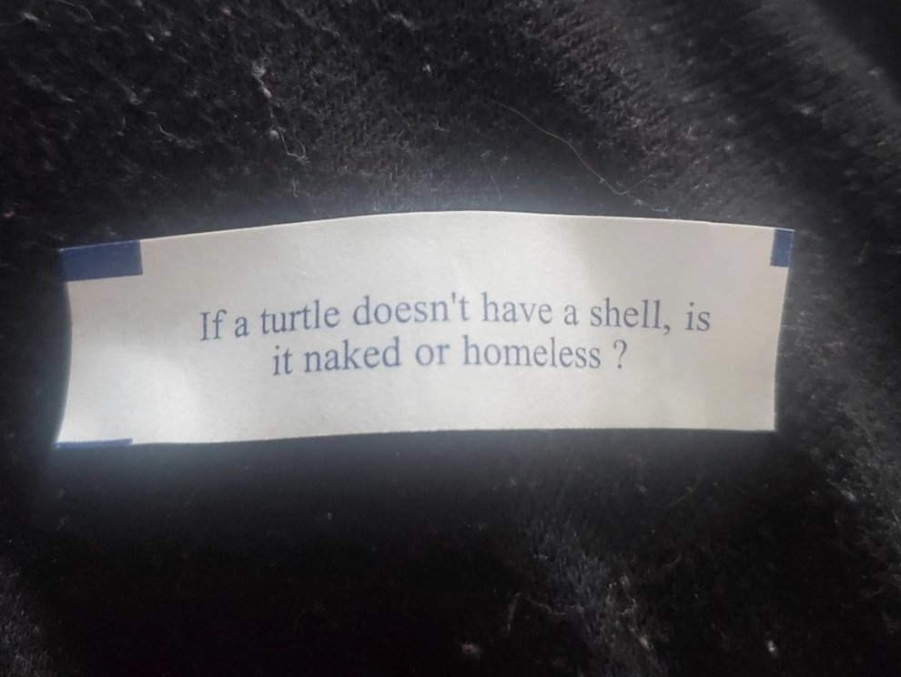 41 Hilarious Fortune Cookies That Are Doing Too Much
