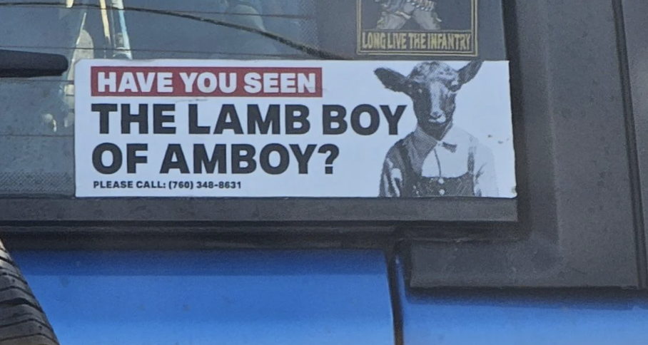 17 Shocking Photos That Turned My World Upside Down