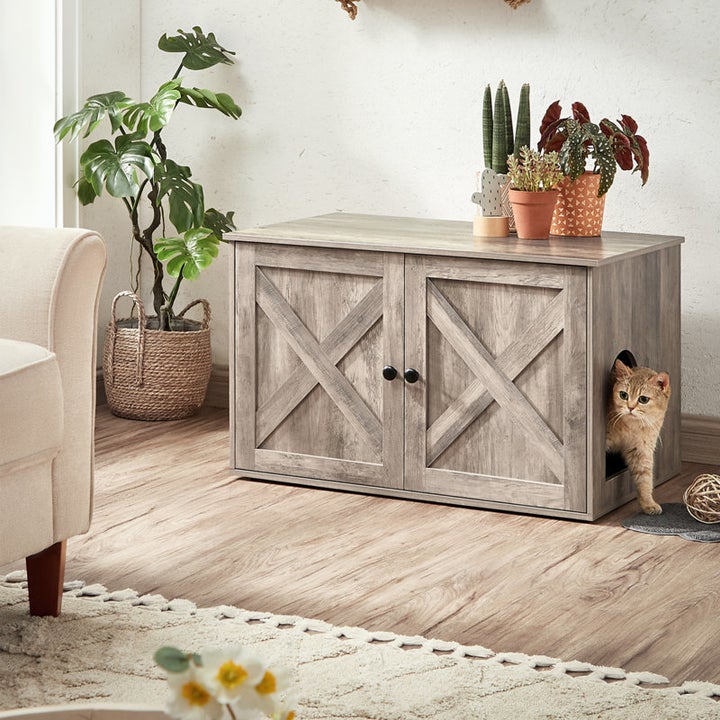 34 Best Hidden Litter Box Enclosures For Cats
