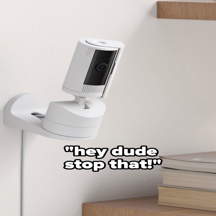 This Device Will Make Your Pet Its Own Reality Show