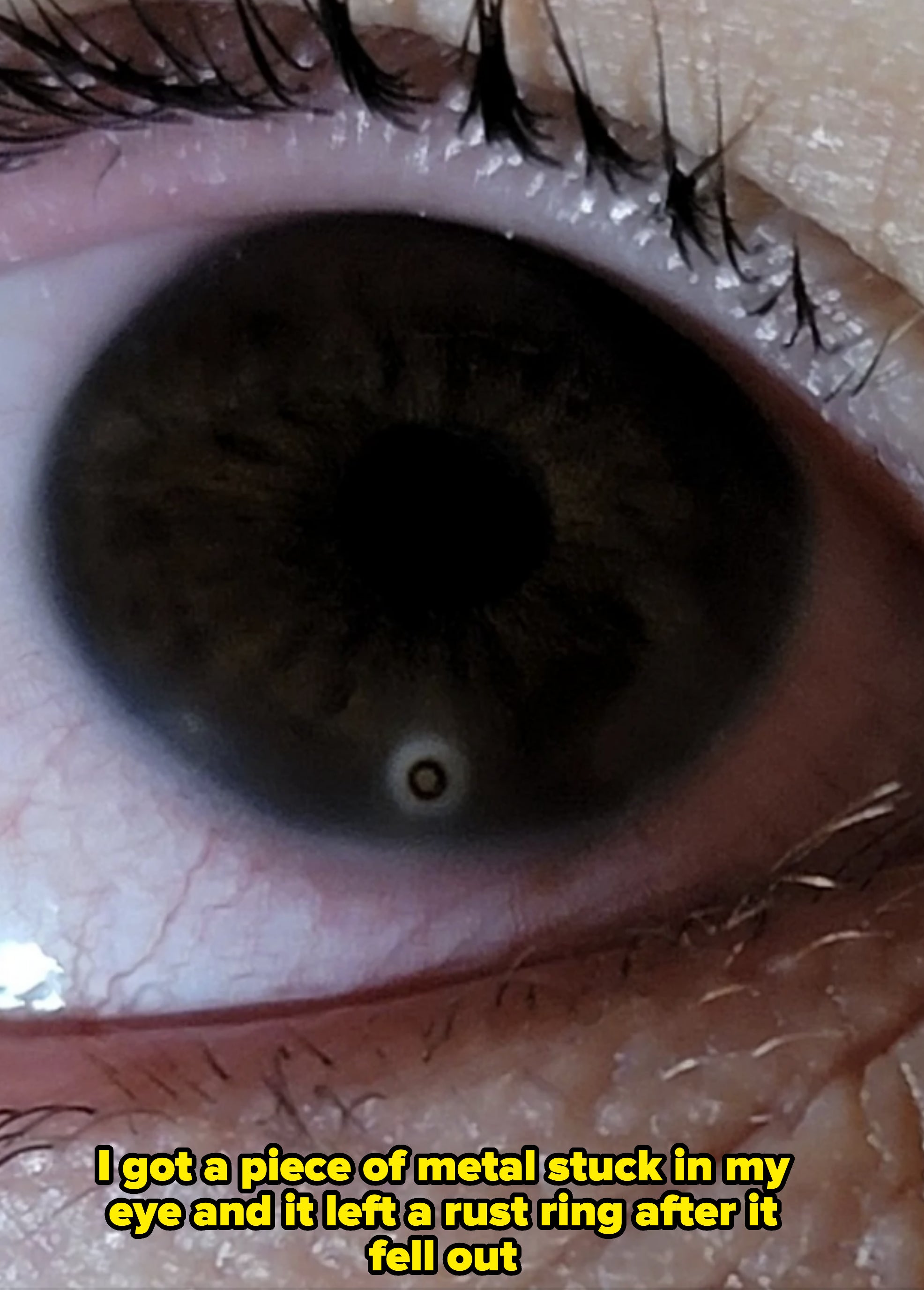 99 Wildest Photos Of The Human Body From This Year