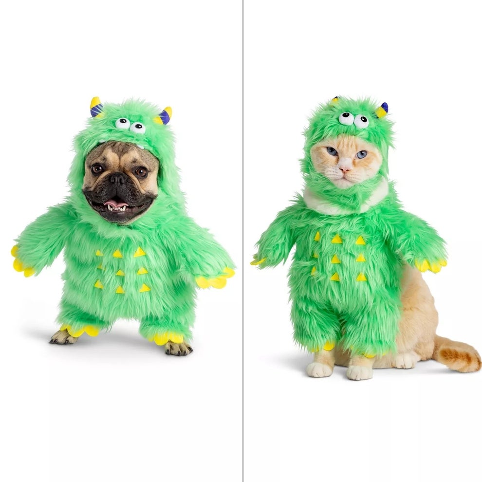 Top 20 Pet Halloween Costumes from PetSmart
