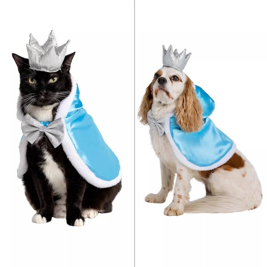 Petsmart Wedding
