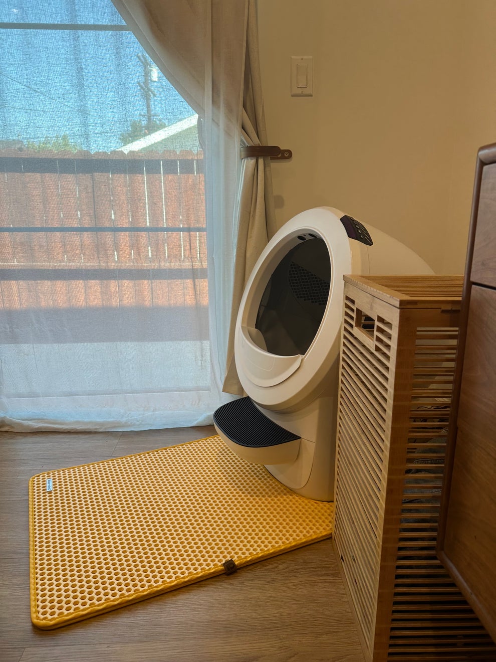 I Tried The Litter Robot Everyone's Talking About, And Love It