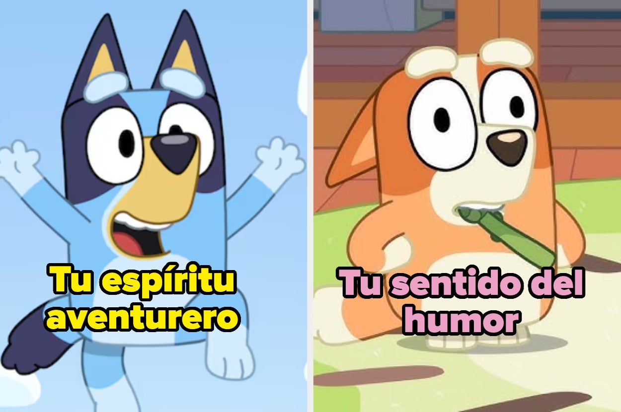 Test de rasgos de personalidad con personajes de Bluey