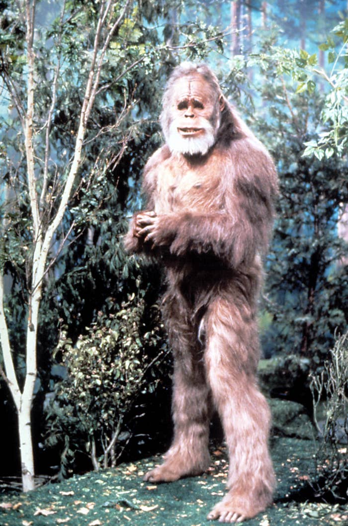 5 Stories Of People Coming Into Contact With Cryptids