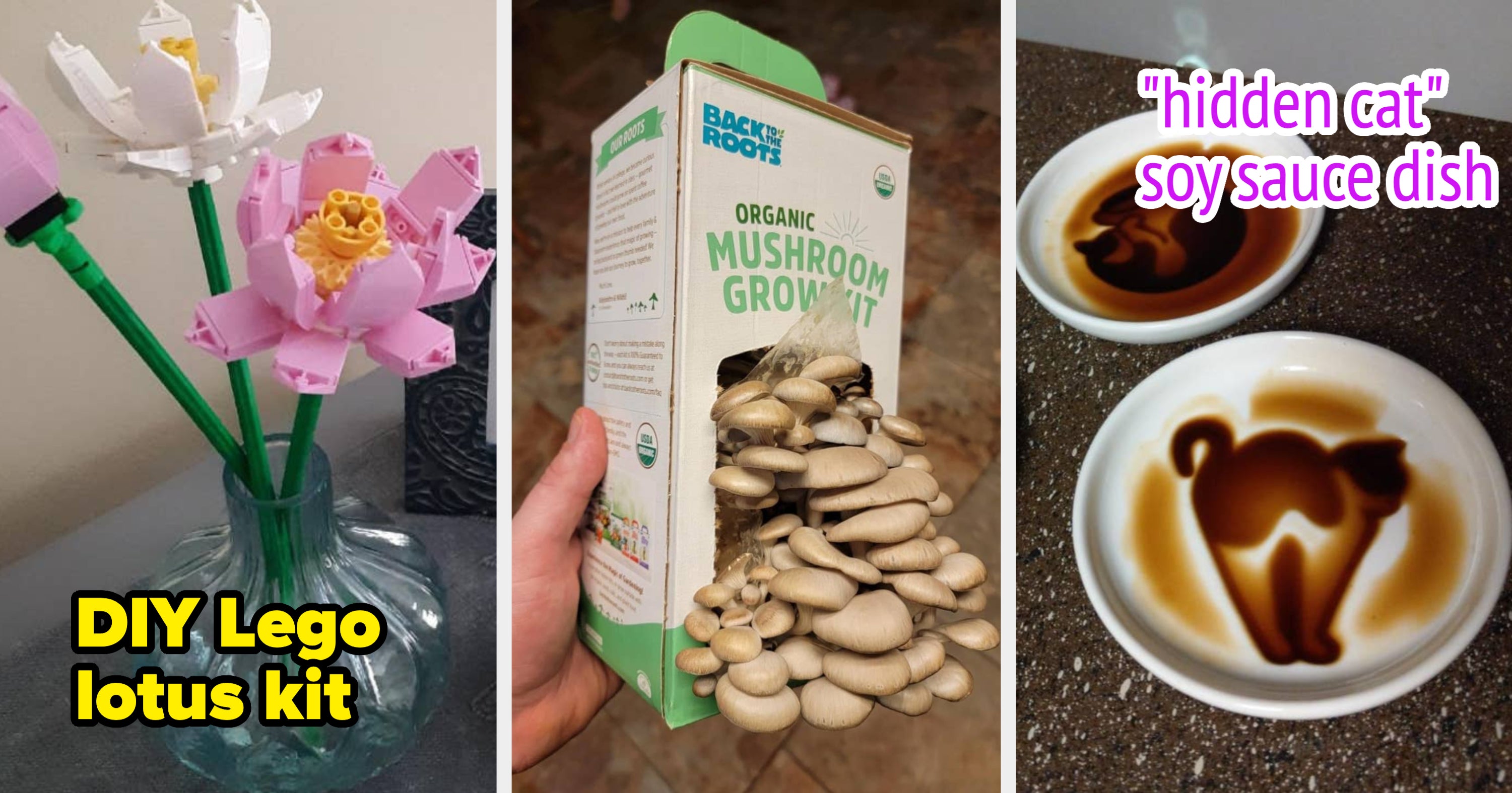 36 Quirky Products For Anyone Whose House Is Boring