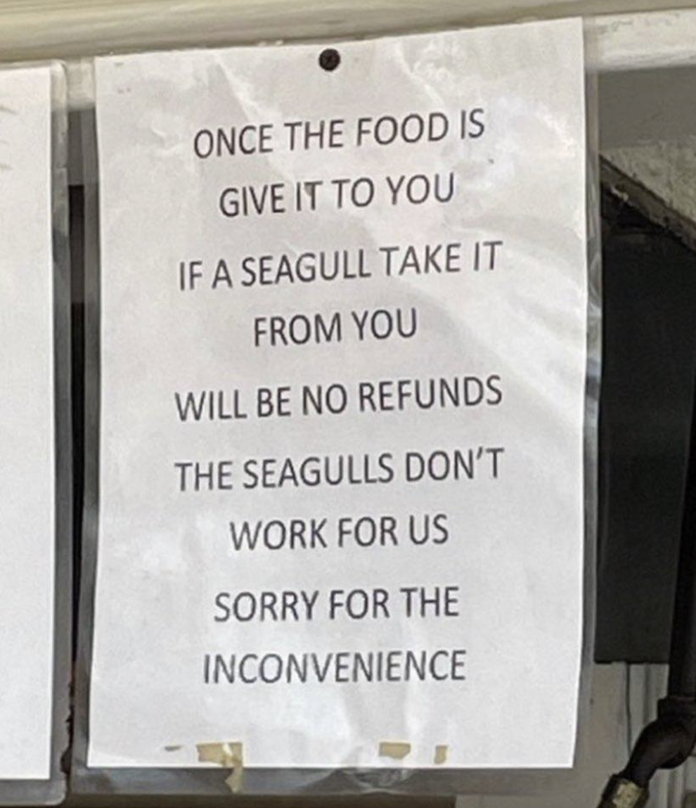 The 500 Funniest Viral Photos Of All Time