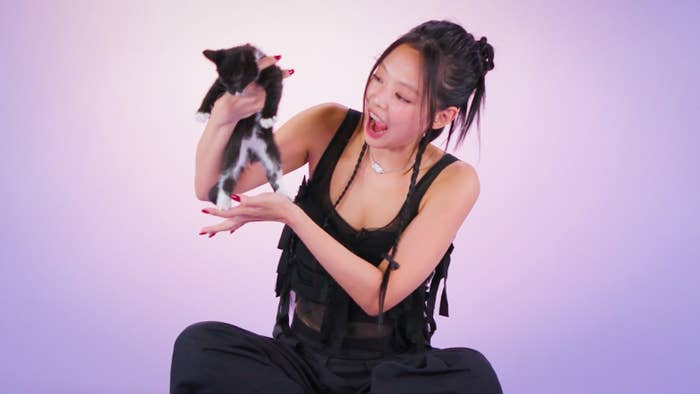 buzzfeed cat interview