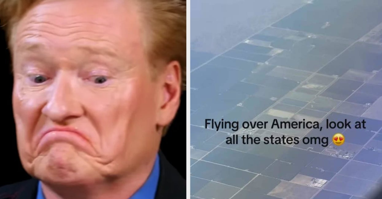 I Think I'm Actually A Dumber Person After Looking At These 23 ...