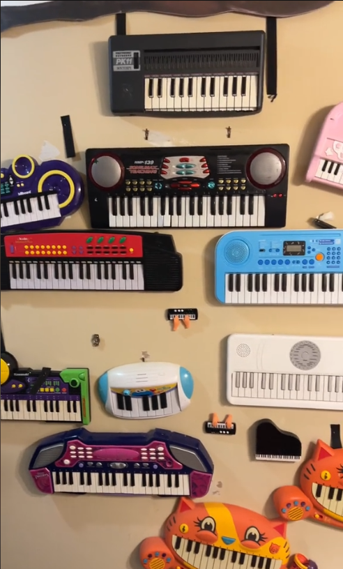 Extreme Maximalist Designed Home By Myra Magdalen