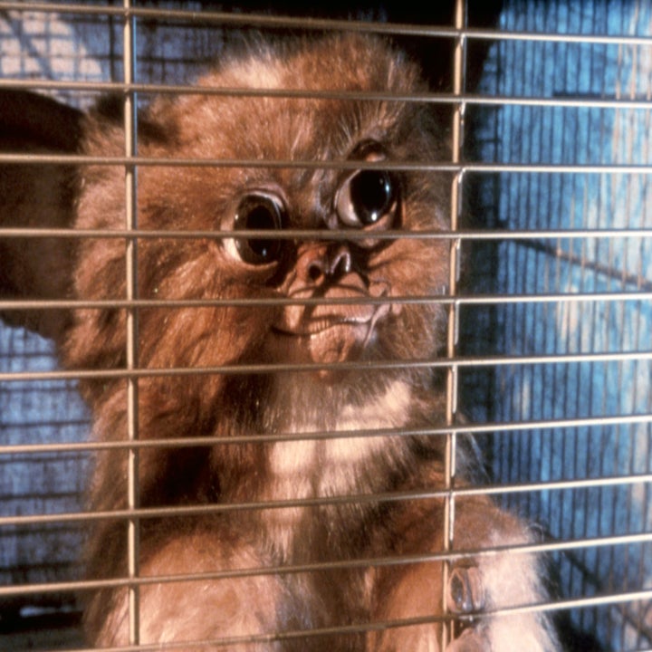 10 Halloween Movies From Your Childhood