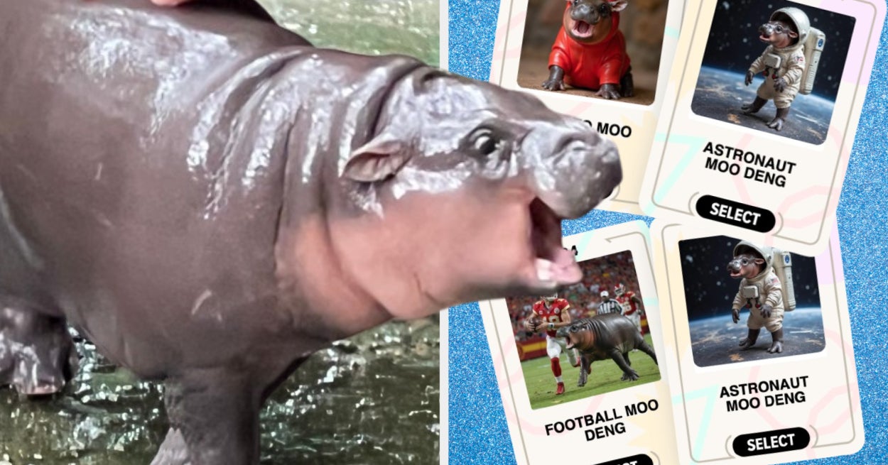 Showdown: Which Moo Deng Is The Best Moo Deng?