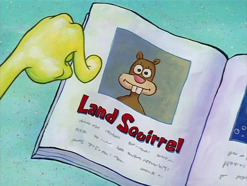 Carolyn Lawrence On 25 Years Of Sandy Cheeks